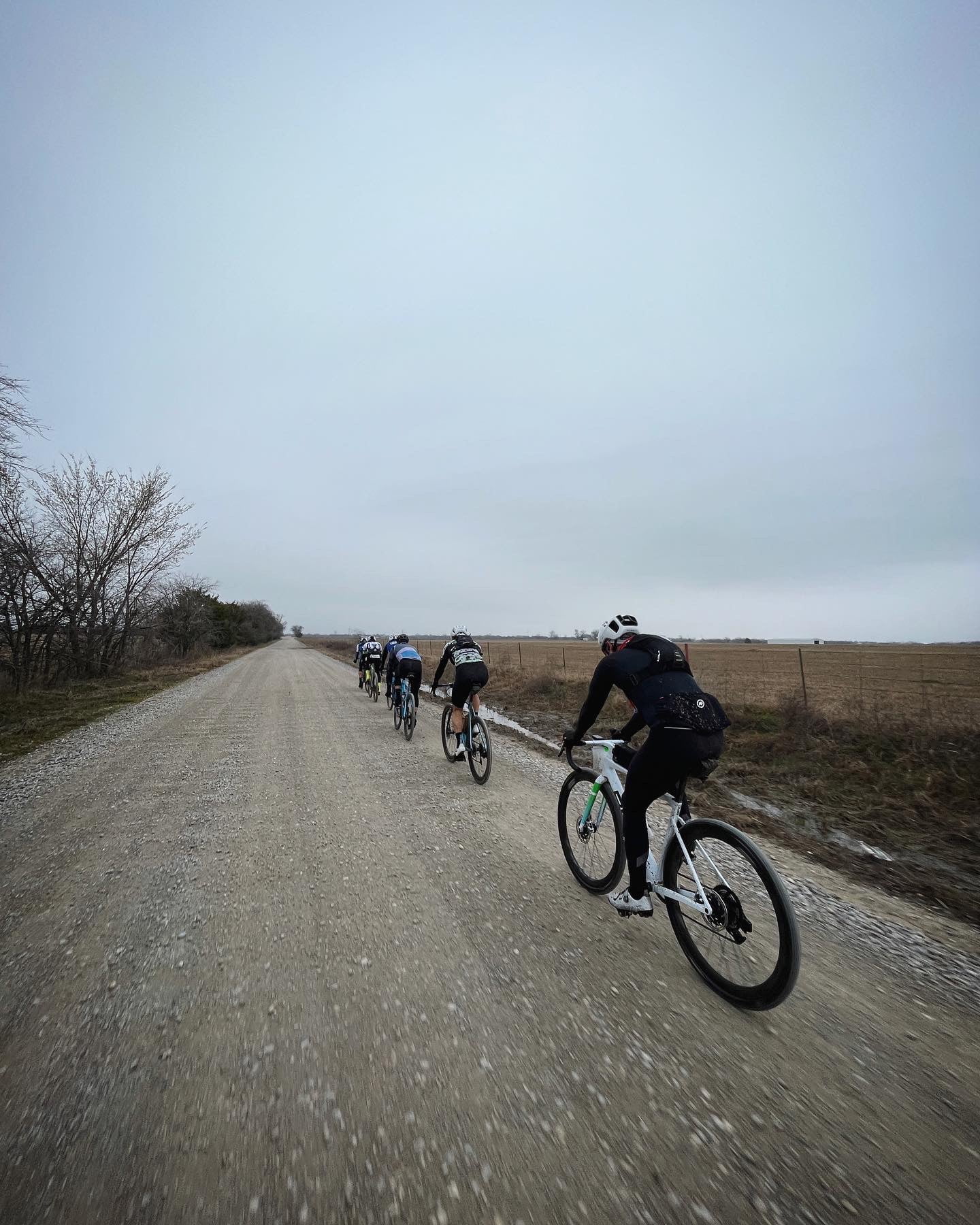 Renegade Rambler - The Nordic Trailblazer